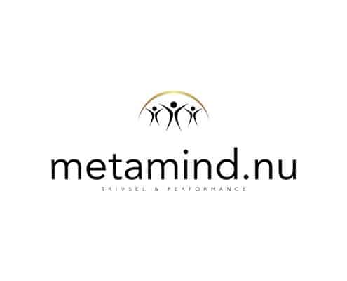 Workshop - Metamind